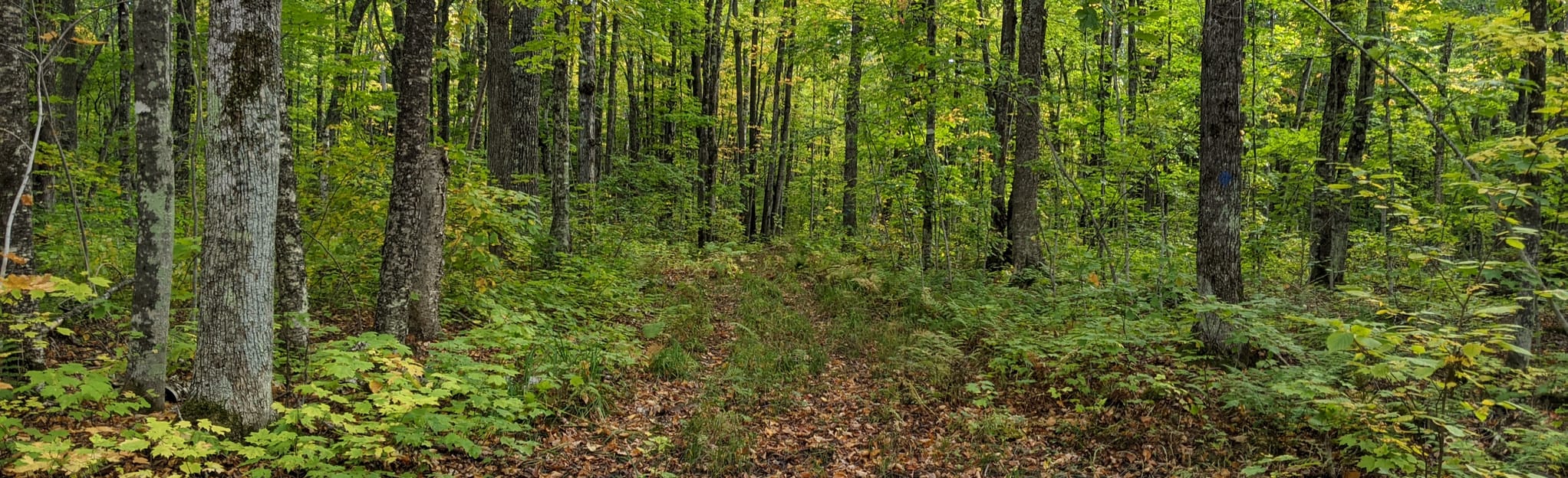 Madeline Island North End Short Loop, Wisconsin - 8 Reviews, Map ...