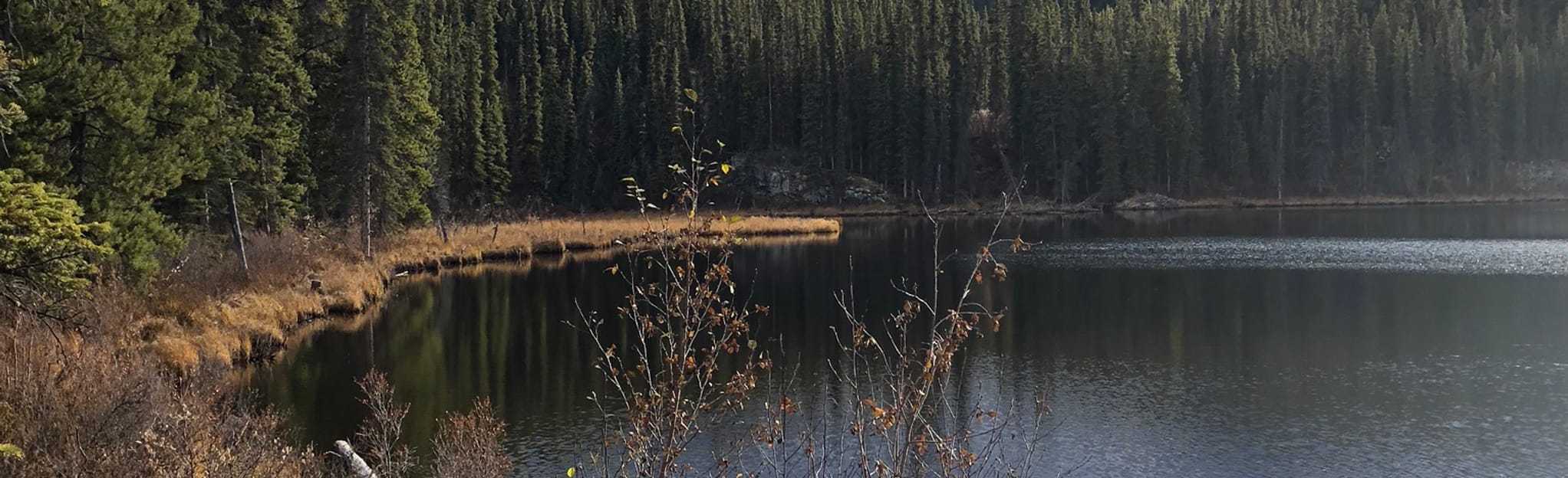 Valerie Lake via Copper Trail to McLean Lake Trailhead: 30 Reviews, Map ...