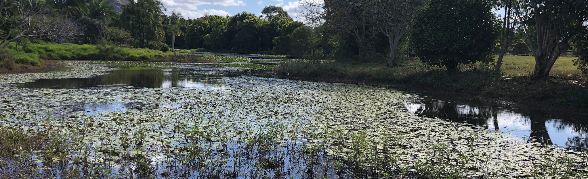 Great Noosa Trail 3 : Kin Kin to Cooran via Woondum Forest Reserve ...