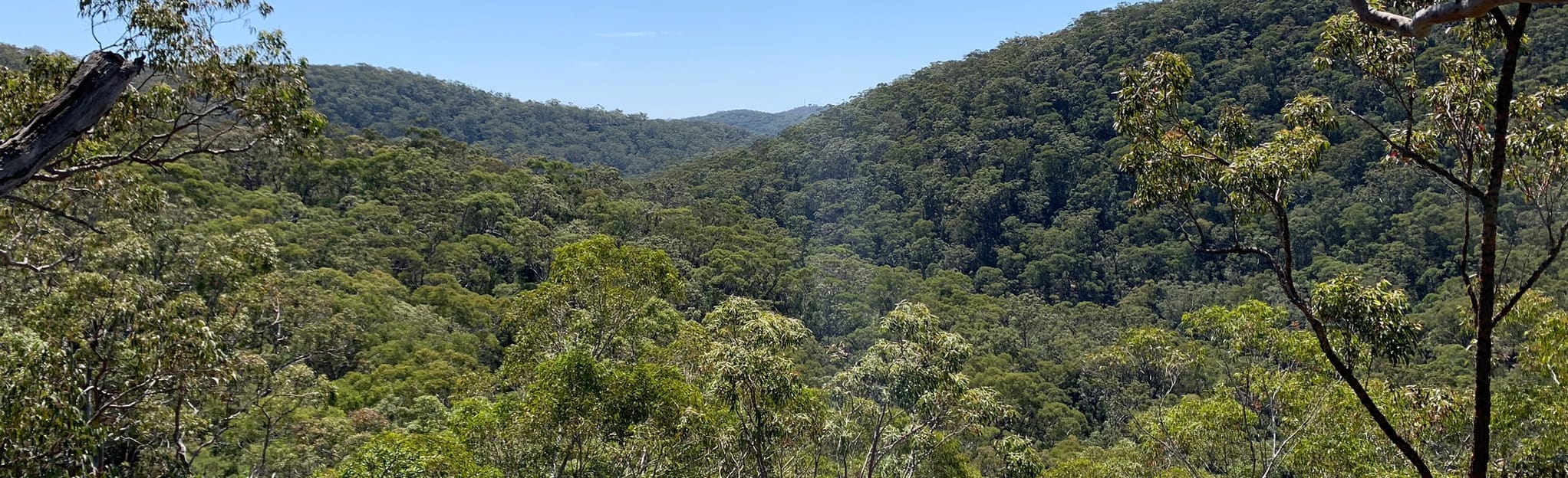 Berowra Valley Quarry Fire Trail , New South Wales, Australia - 87 ...