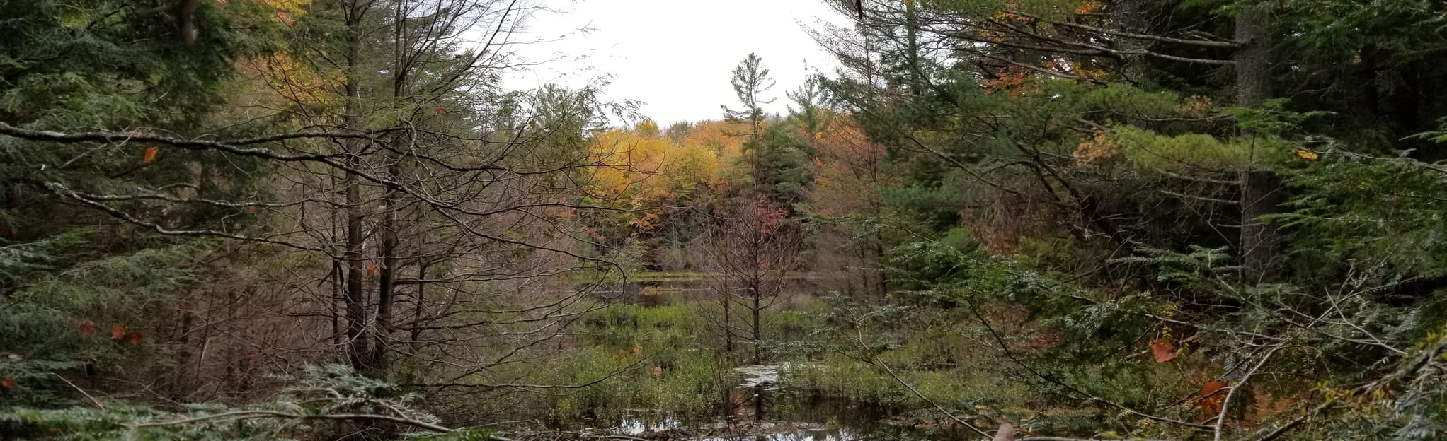 North Country Trail: Rock River Falls to Valley Spur Trailhead: 10 ...