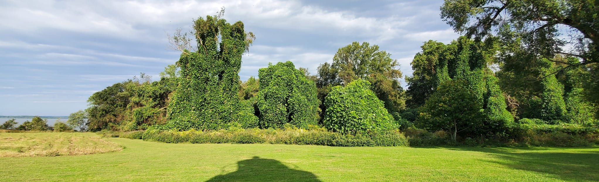 Turkey Point Lighthouse Trail, Maryland - 842 Reviews, Map | AllTrails