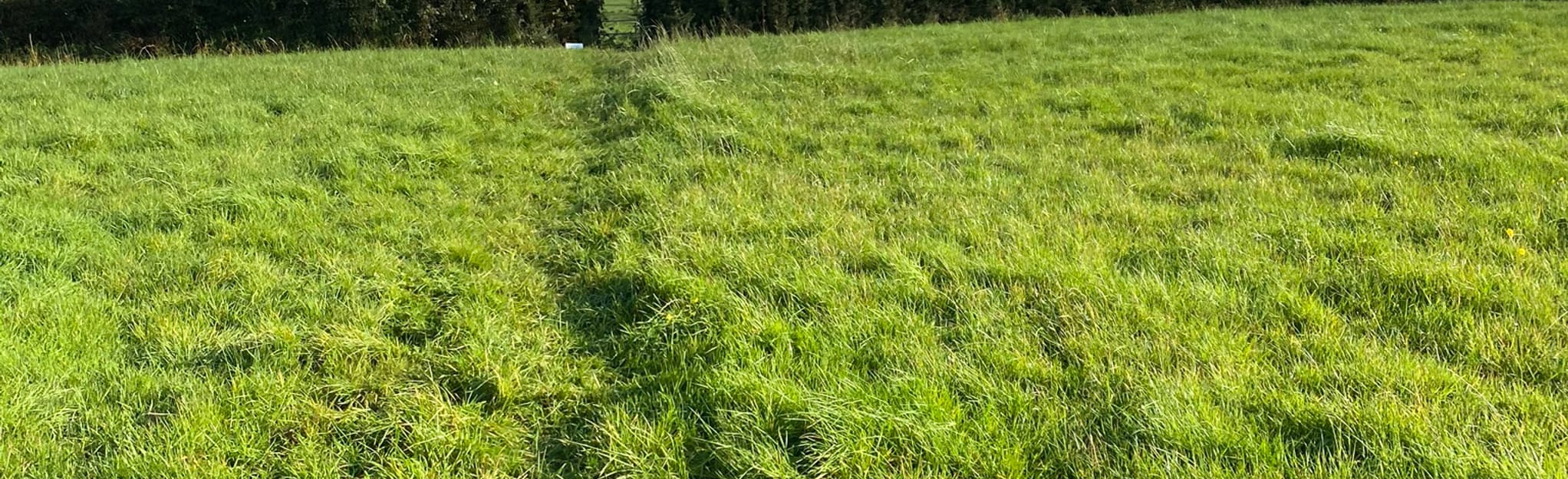 Haighton Manor and Fulwood Park Wood Walk - Lancashire, England | AllTrails