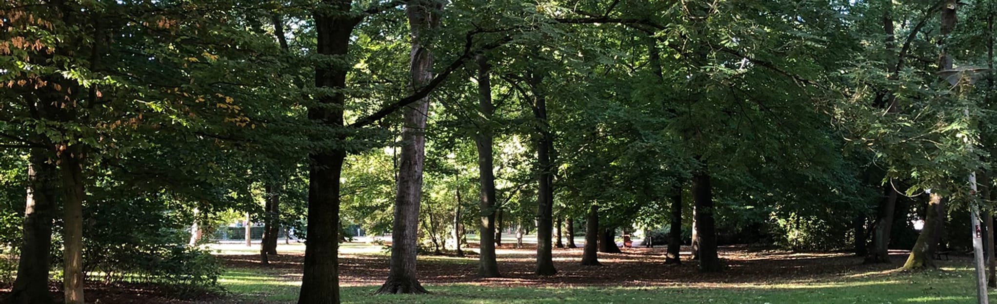 Parc du Kurgarten, Bas-Rhin, France - 5 Reviews, Map | AllTrails