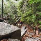Doubletop Mountain Trail, Maine - 130 Reviews, Map | AllTrails