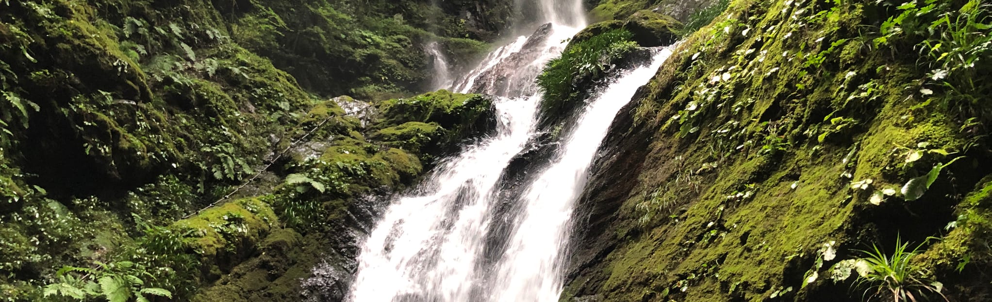 Amagoi-no-taki Falls, Tokushima, Japan - Map, Guide | AllTrails