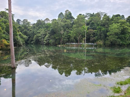 2023 Best Easy Trails in Kota Damansara Community Forest Reserve ...