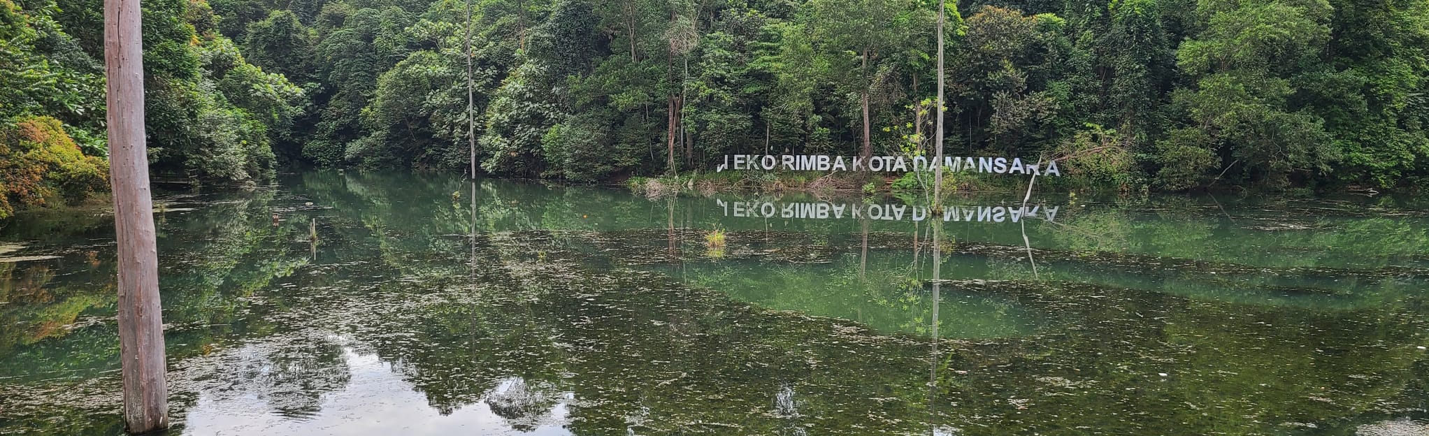 Temuan Trail Loop, Selangor, Malaysia - 63 Reviews, Map | AllTrails