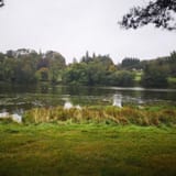 Thornton Reservoir and Bagworth Heath Woods Circular, Leicestershire ...