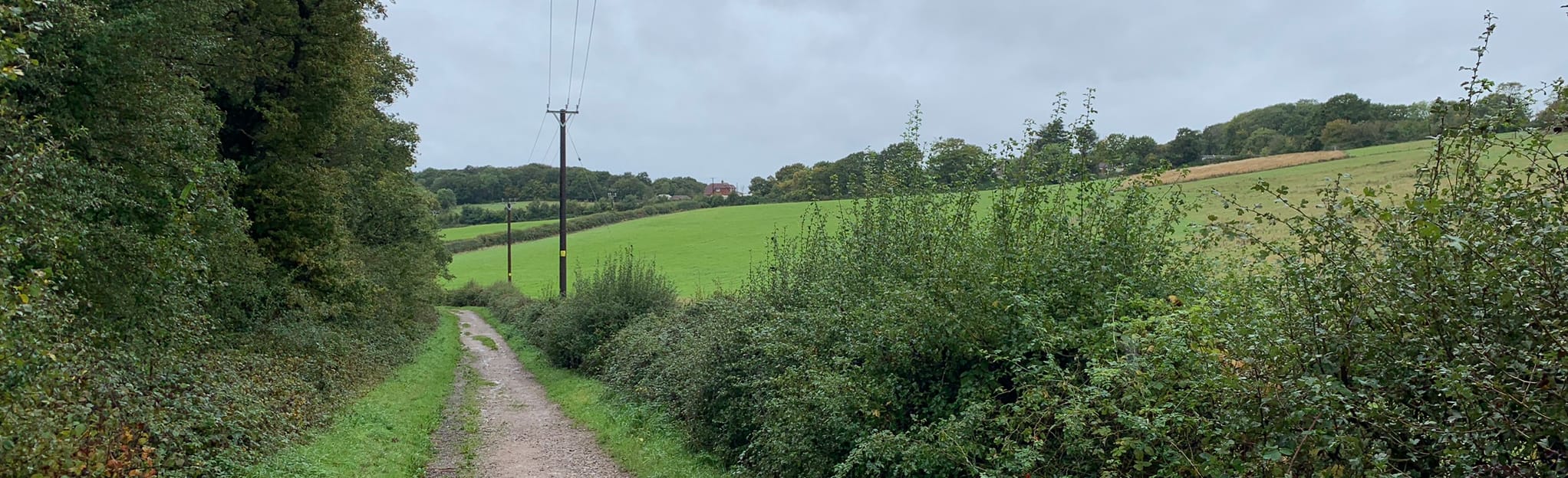 Wesley Heights and Northlands Wood Circular, Essex, England - 63 ...