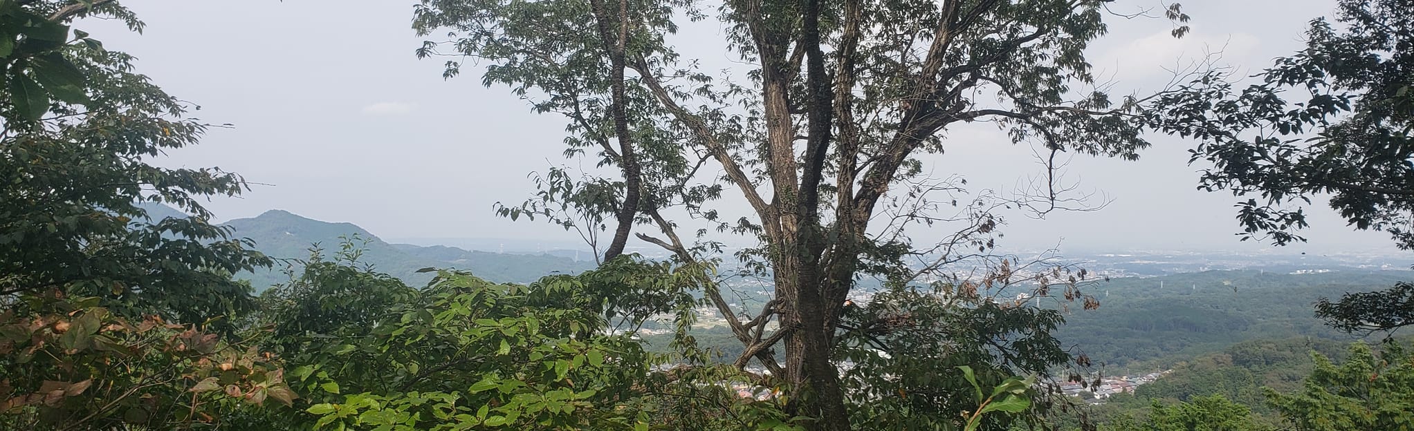 Mount Tonosu - Mount Tenran - Hanno Civic Hall, Saitama, Japan - 15 ...