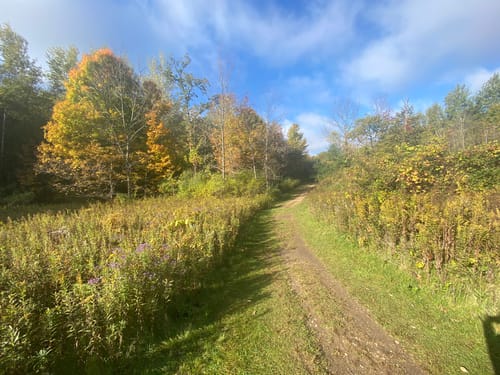 Best Hikes and Trails in Kettle Moraine State Forest Pike Lake Unit ...