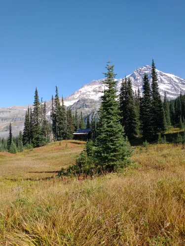 10 Best Trails and Hikes in Longmire | AllTrails