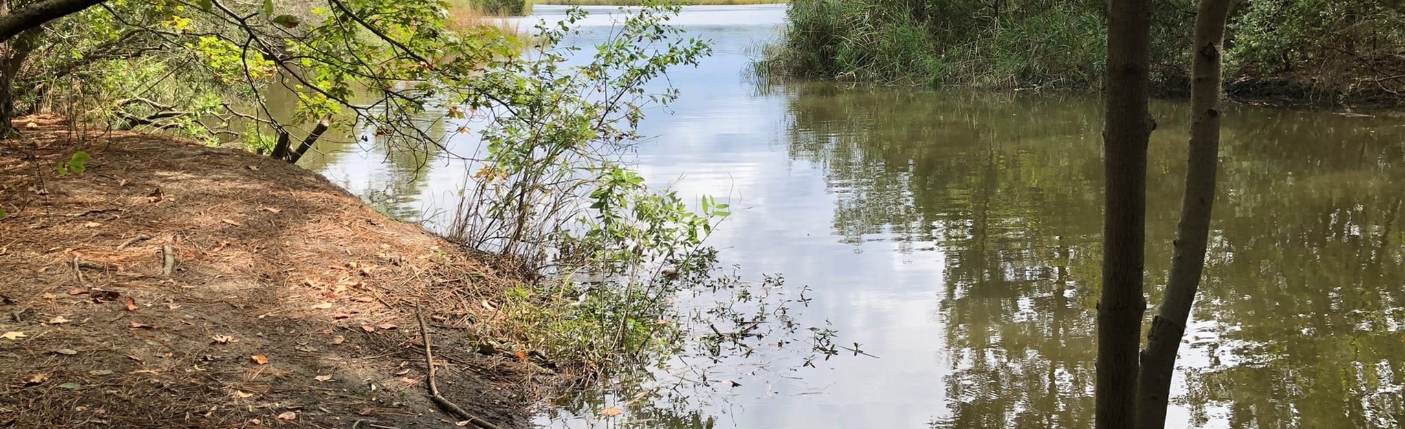 Bluebird Gap Farm Trail: 28 Reviews, Map - Virginia | AllTrails