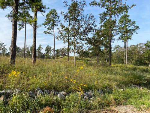 Historic Blakeley State Park: Die besten leichten Routen in 2023 ...