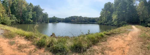 10 Best Hikes and Trails in Anne Springs Close Greenway | AllTrails