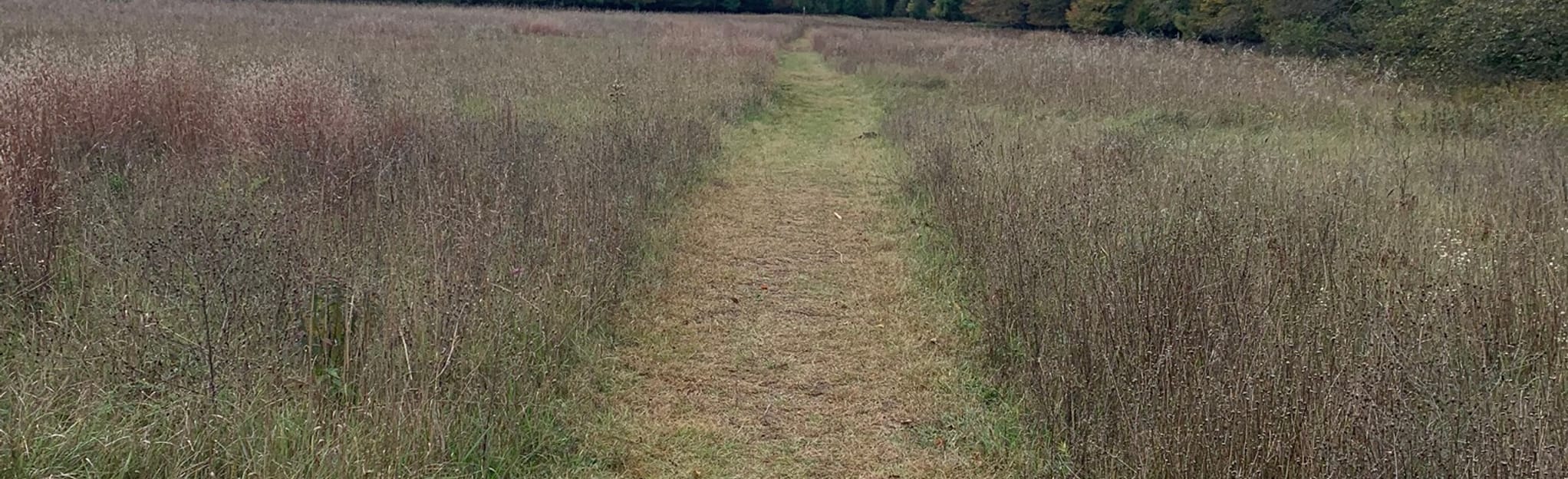 Woodland Dunes Nature Center Trail: 107 Reviews, Map - Wisconsin ...