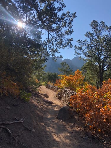 2023 Best 10 Hard Trails in Sandia Mountain Wilderness | AllTrails