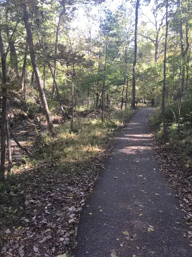 Best Hikes and Trails in Powder Valley Conservation Nature Center ...