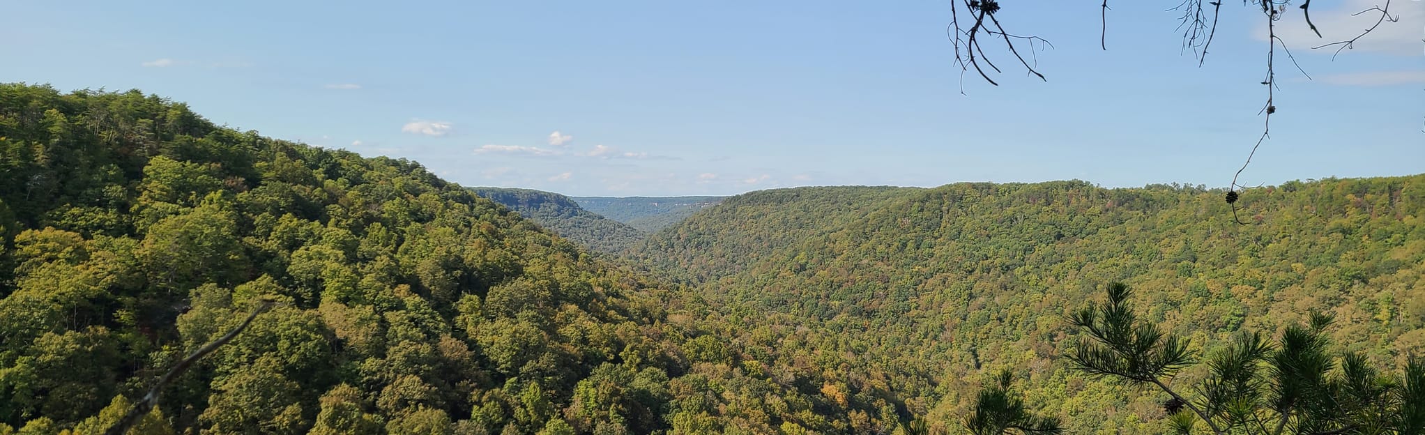 Collins Gulf Trail to Horsepound Falls and Collins River: 531 Reviews ...