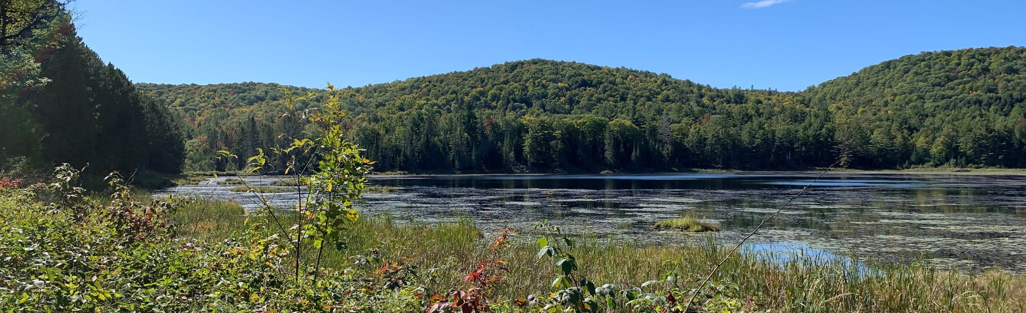 Lac Philippe, Lac Renaud, and Lac Taylor Loop: 103 Reviews, Map ...