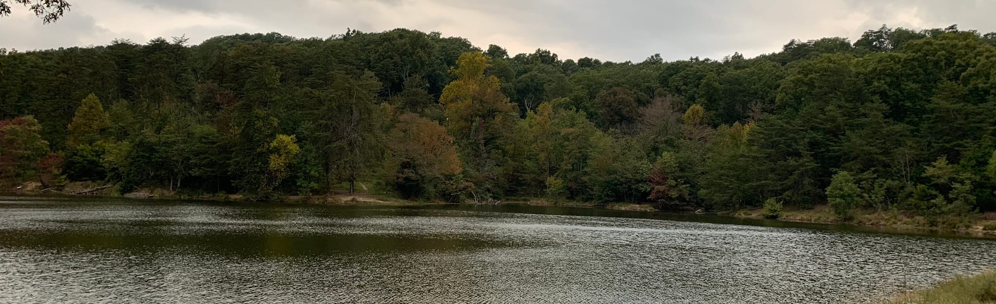 Tom Wallace Lake Loop: 84 Reviews, Map - Kentucky | AllTrails