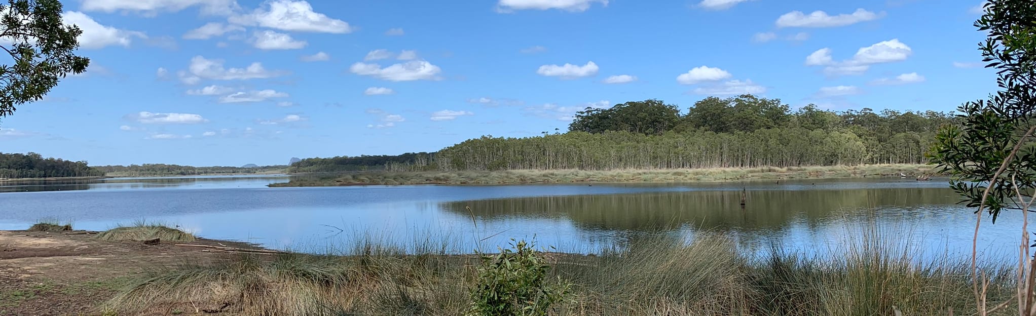 Ewan Maddock Dam Main Track - Full Trail: 198 foto's - Queensland ...