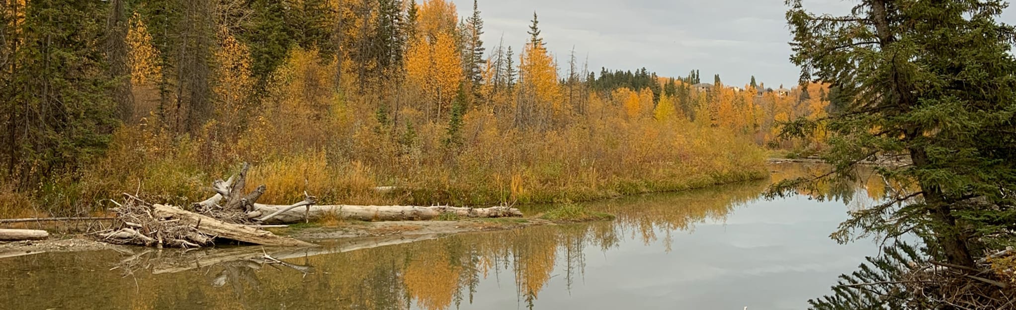 Fish Creek Path from Marshall Springs, Alberta, Canada - 129 Reviews ...