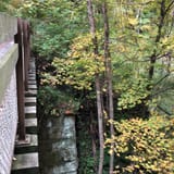 Allegheny River Trail, Pennsylvania - 153 Reviews, Map | AllTrails