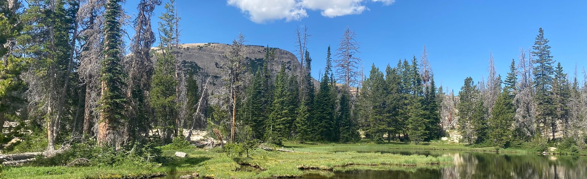 Ruth Lake Trail, Utah - 380 Reviews, Map | AllTrails