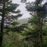 Doubletop Mountain Trail, Maine - 130 Reviews, Map | AllTrails