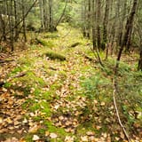 Doubletop Mountain Trail, Maine - 130 Reviews, Map | AllTrails