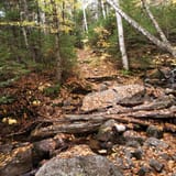 Doubletop Mountain Trail, Maine - 130 Reviews, Map | AllTrails