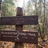 Doubletop Mountain Trail, Maine - 130 Reviews, Map | AllTrails