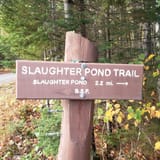 Doubletop Mountain Trail, Maine - 130 Reviews, Map | AllTrails