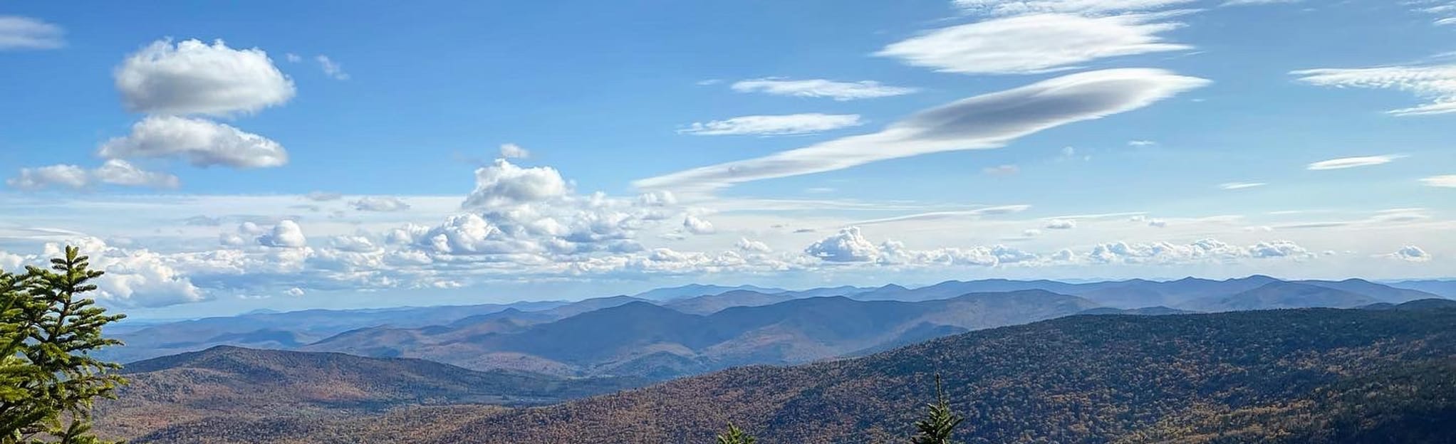 Emily Proctor Trail: 90 Fotos - Vermont | Wandern | AllTrails