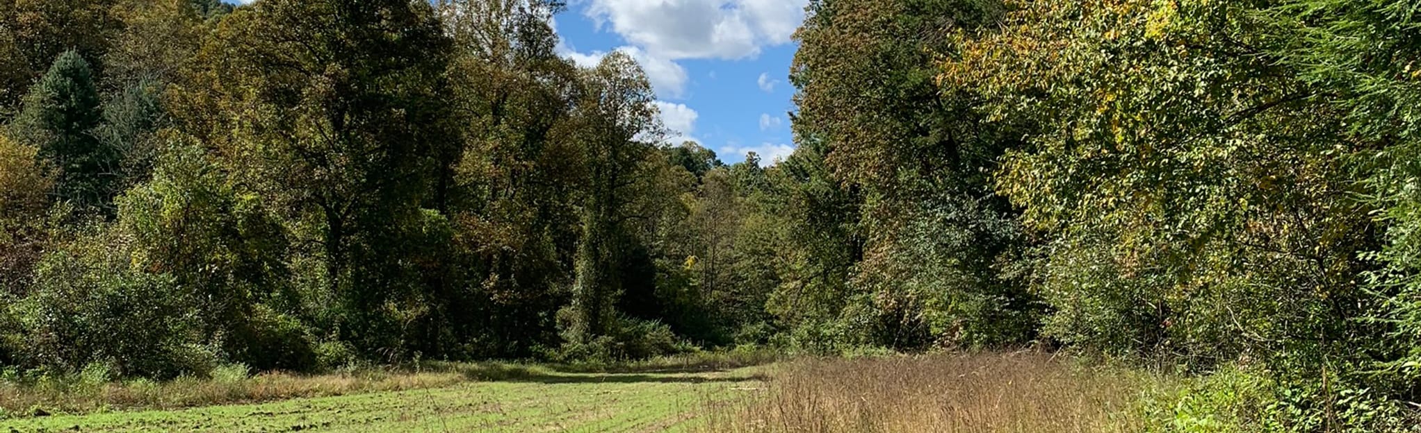 Rock Hop Trail Loop, North Carolina - 320 Reviews, Map | AllTrails