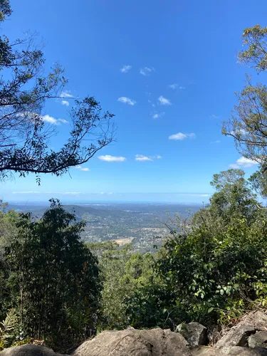 10 Best Trails and Hikes in Mount Nebo | AllTrails
