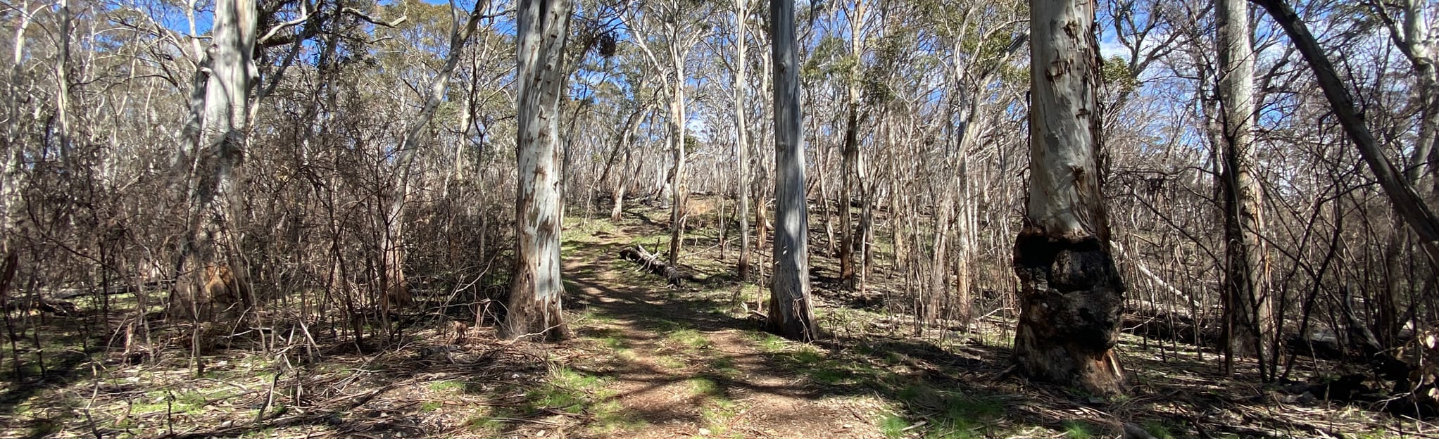 Corin Dam to Pryor’s Hut: 58 Reviews, Map - Australian Capital ...