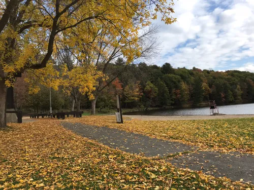 Best Hikes and Trails in Gilbert Lake State Park | AllTrails