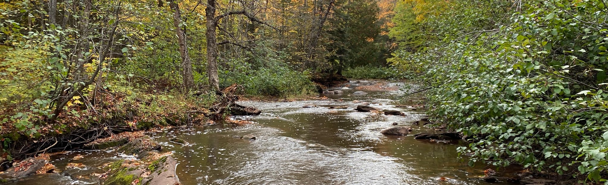 Nonesuch Falls Trail, Michigan - 155 Reviews, Map | AllTrails