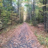 Ware River Rail Trail, Massachusetts - 76 Reviews, Map | AllTrails