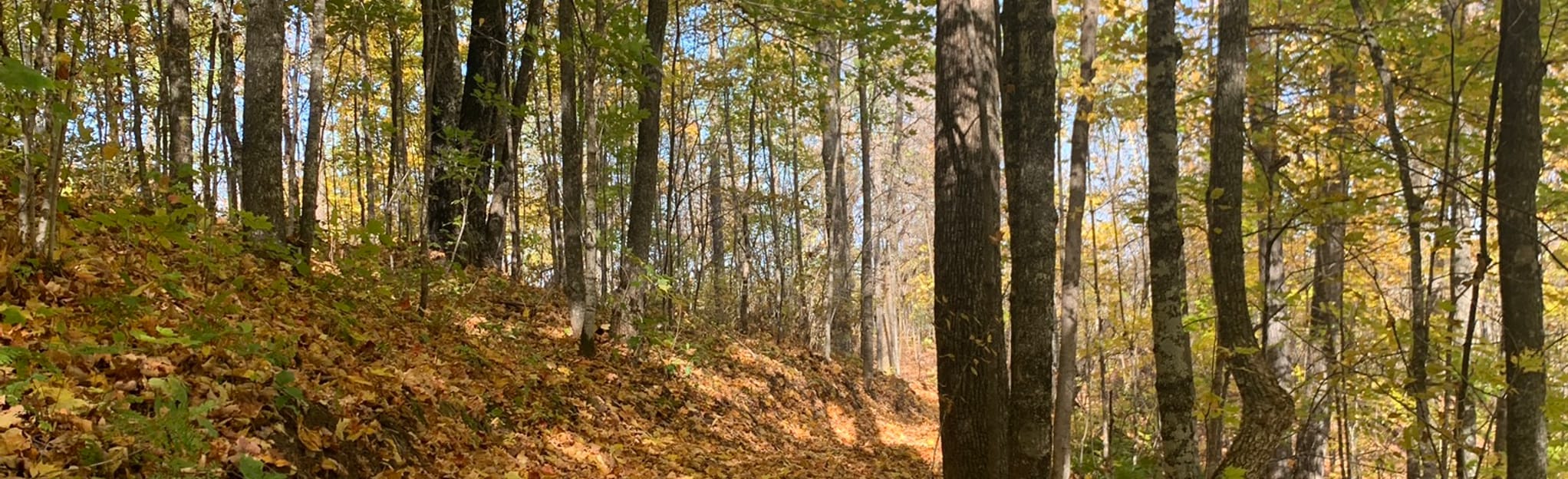 Hatchery Creek Trail: 139 Reviews, Map - Wisconsin | AllTrails