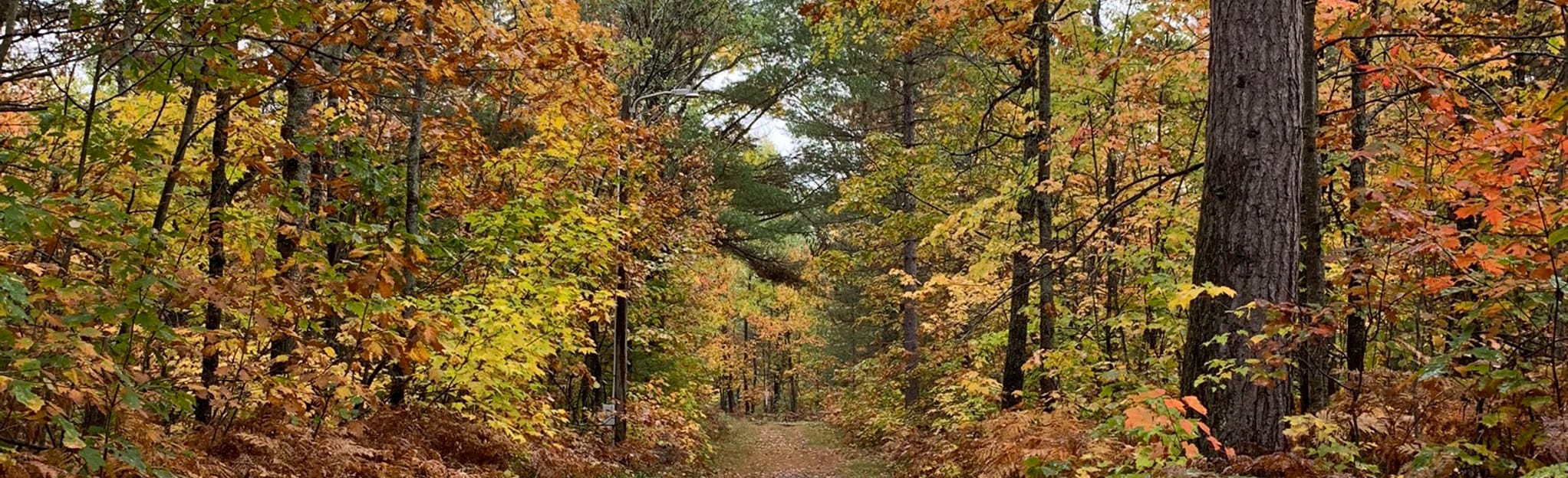 Wolverine and Lighted Loop: 25 foto - Michigan | AllTrails