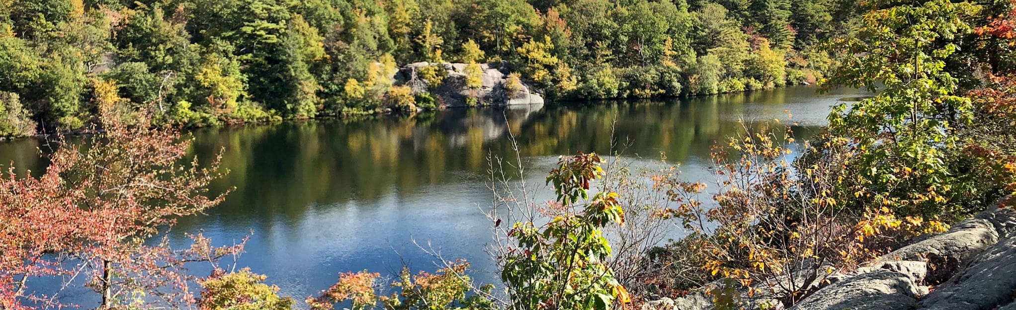 Terrace Pond West Trail, New Jersey - 158 Reviews, Map | AllTrails