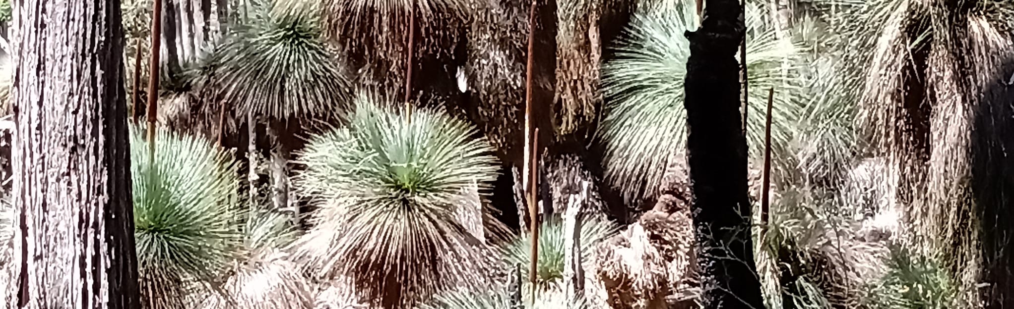 Talbragar River Falls via Forest Road, New South Wales, Australia - 5 ...