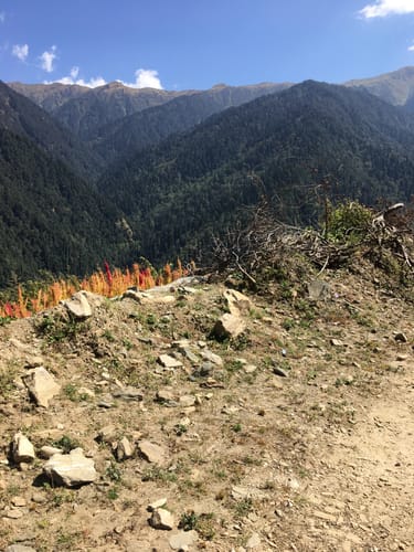 2023 Best Historic Site Trails in Ghansali | AllTrails