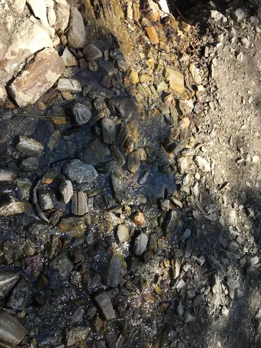 Best Walking Trails in Ghansali | AllTrails