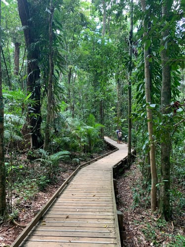 Best 10 Hikes and Trails in Daintree National Park | AllTrails
