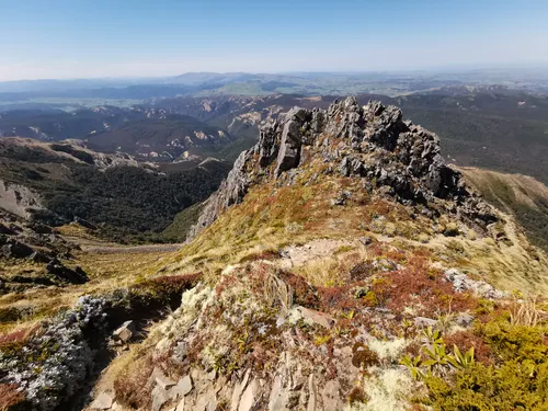 10 Best Walking Trails in Napier | AllTrails